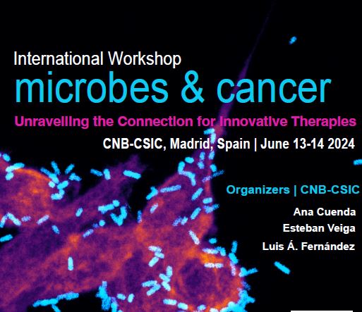 Workshop: Microbes & Cancer: Unravelling the Connection for Innovative ...